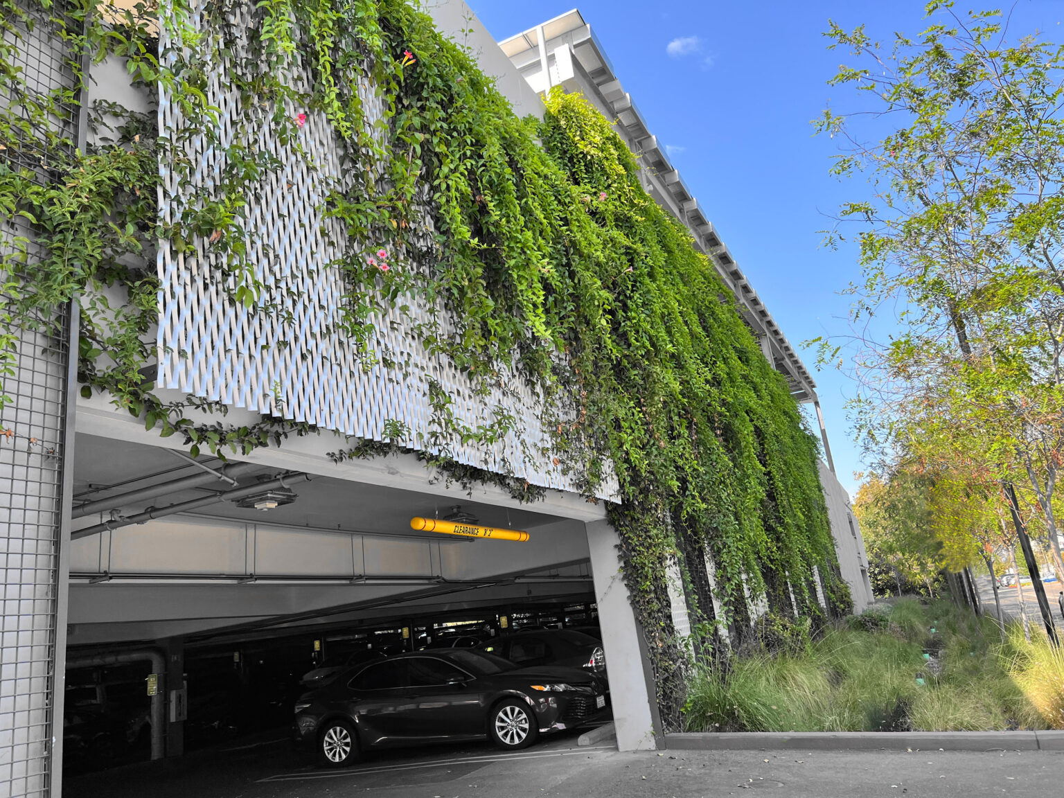 Expanded Mesh Parking Garage Screen with Plant Growth