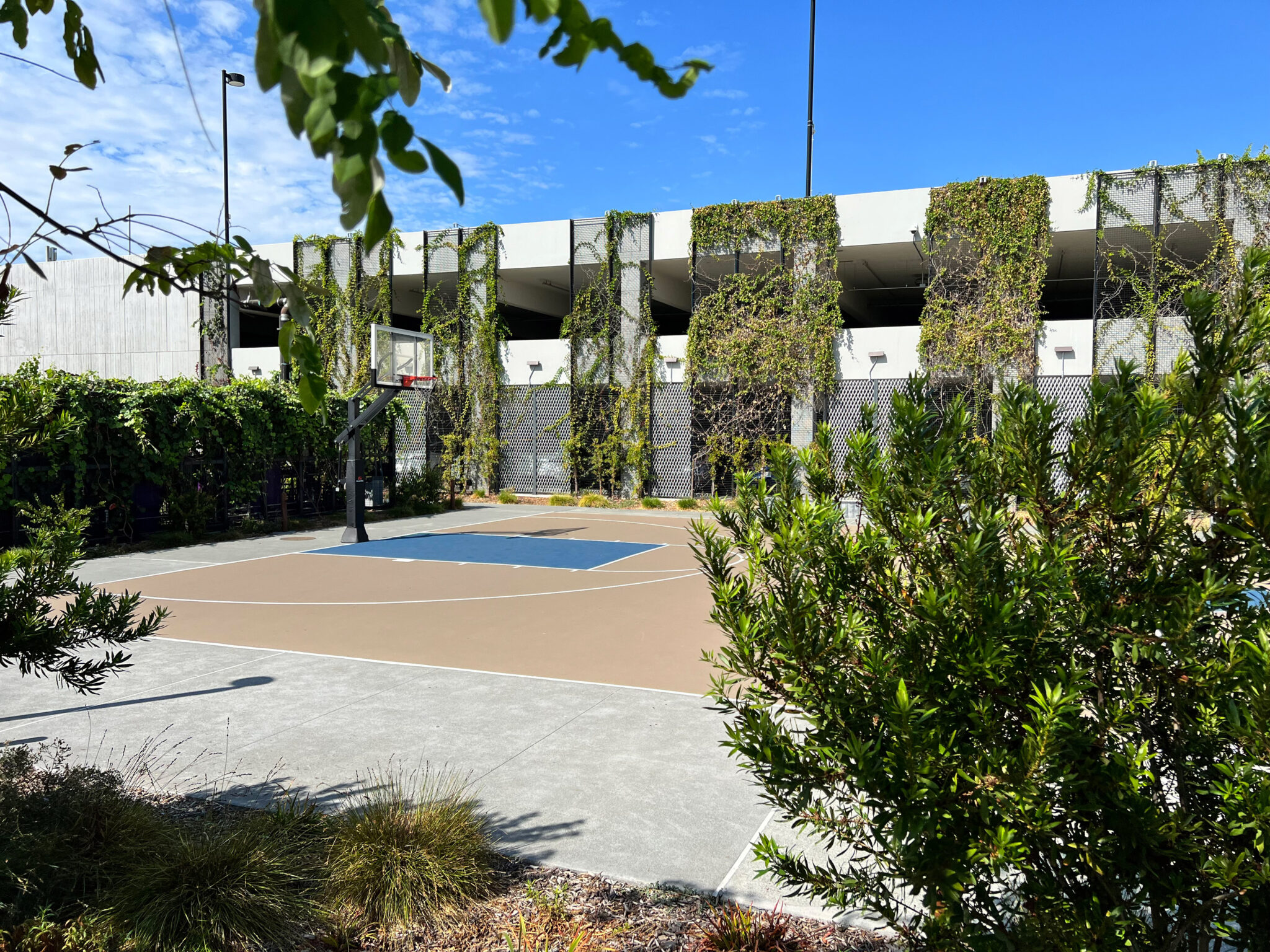 Expanded Mesh Parking Garage Screen with Plant Growth