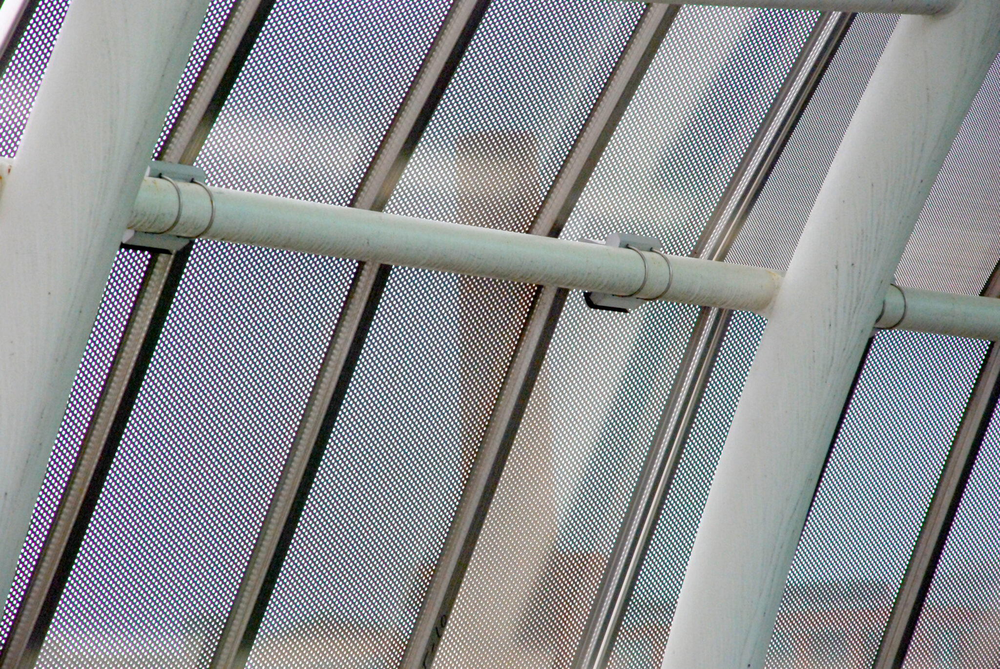 Train Station Perforated Metal Screens, Cladding, and Infill Panels
